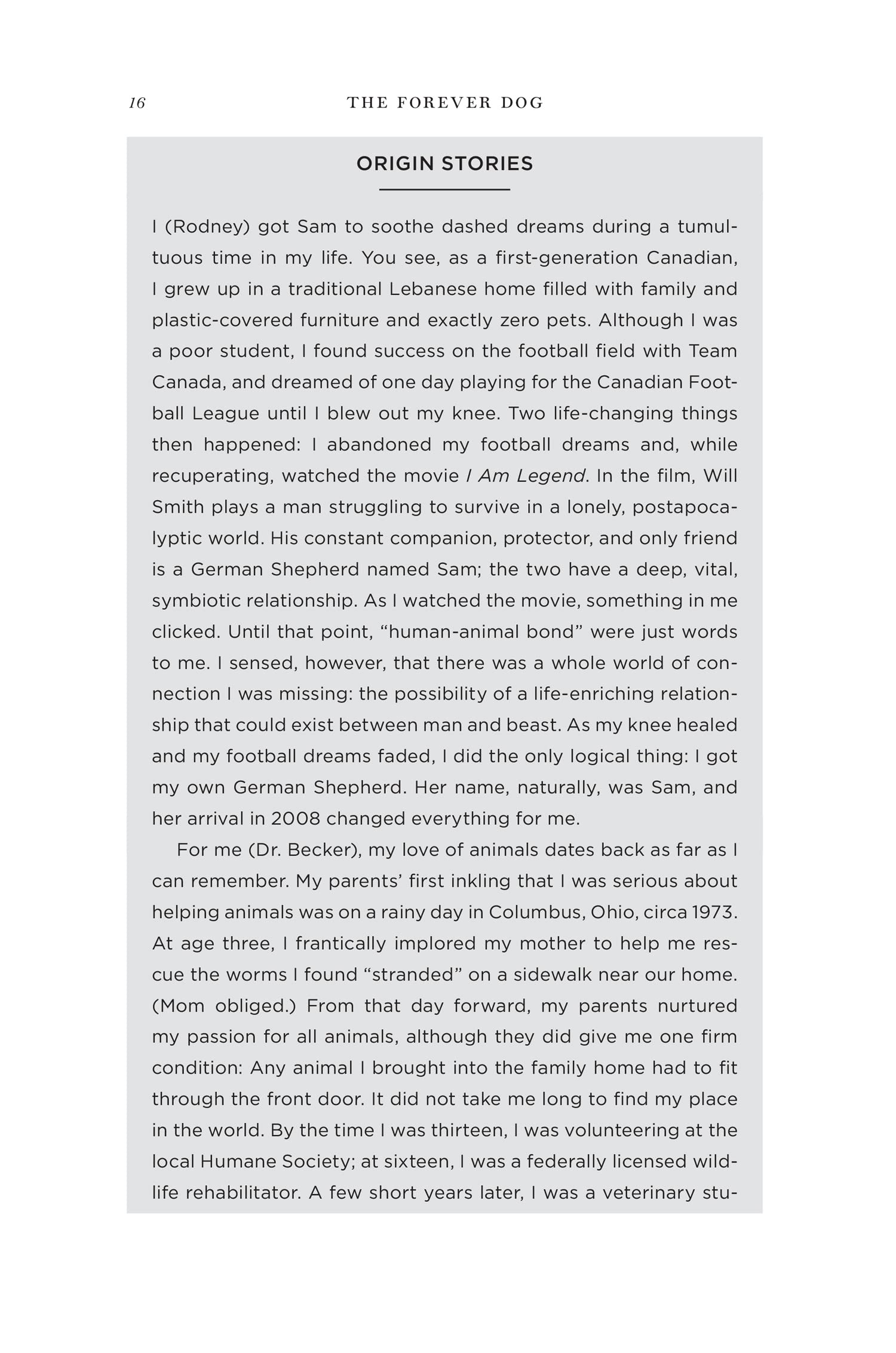 The Forever Dog by Rodney Habib, Karen Shaw Becker#N# – Beans And Buttons